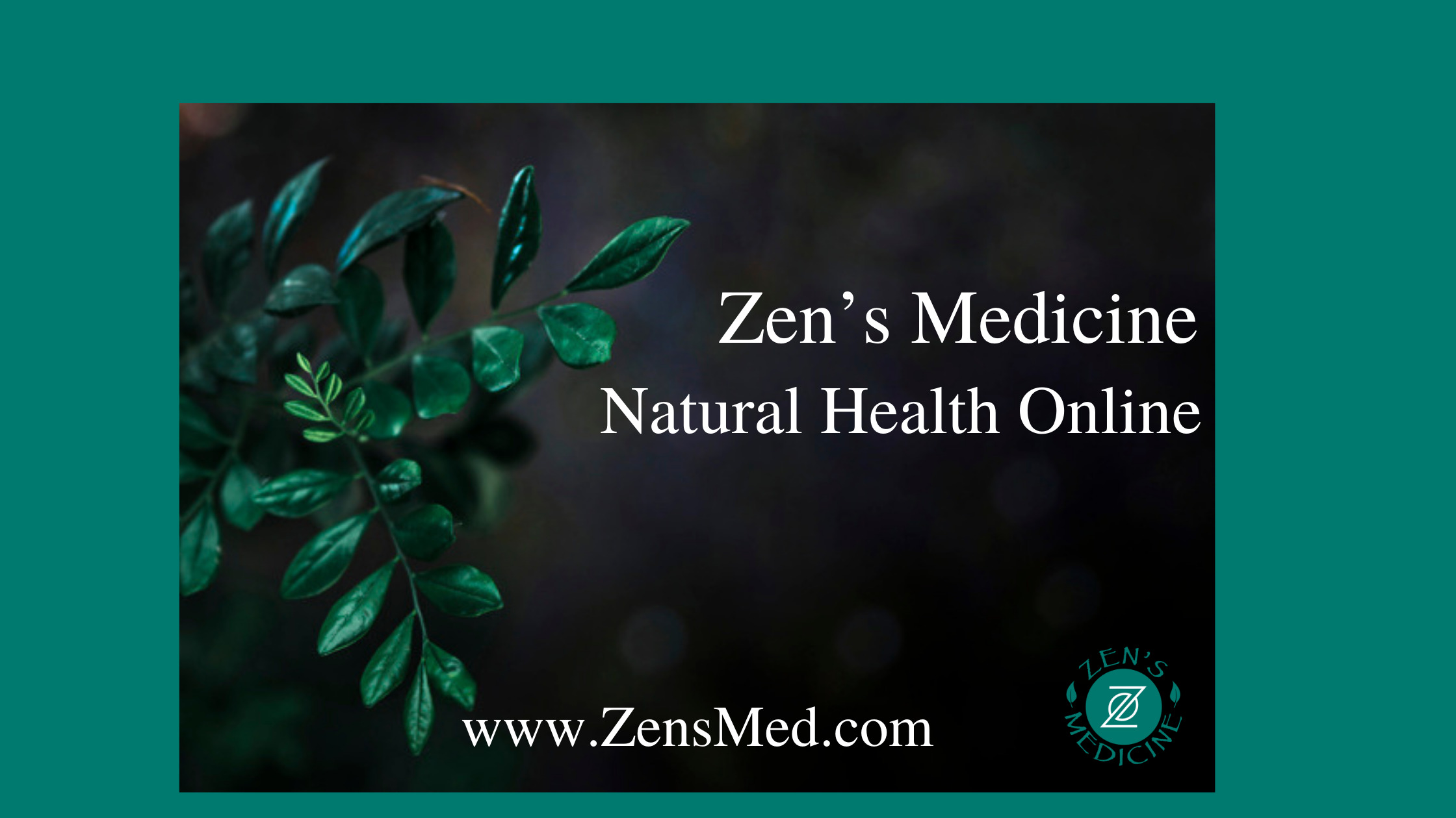 Public Health Commitment Zen S Medicine